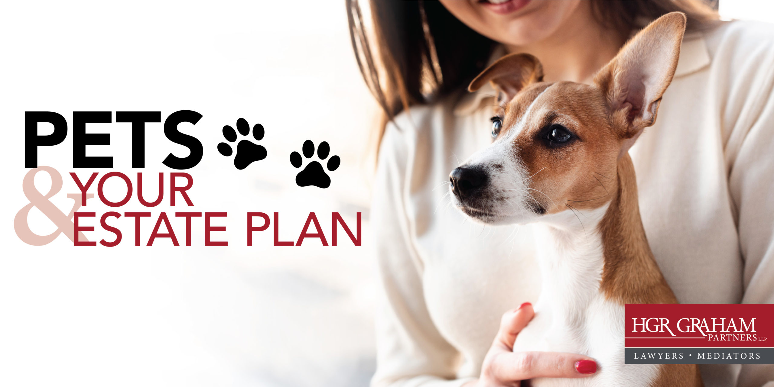 Pets and Your Estate Plan (Everything You Need to Know) - HGR Graham ...